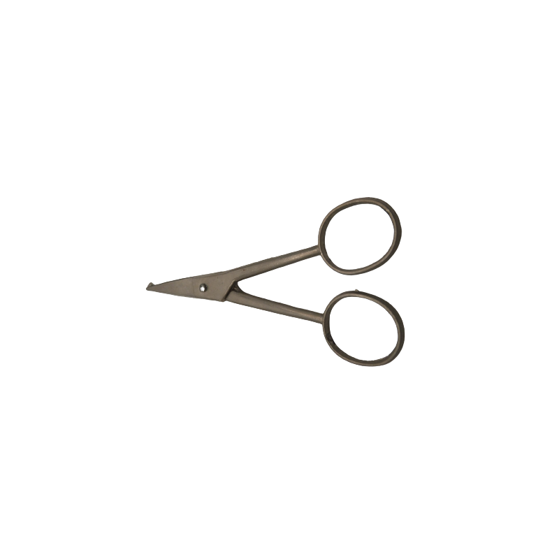 Microscope - Explorez le monde invisible